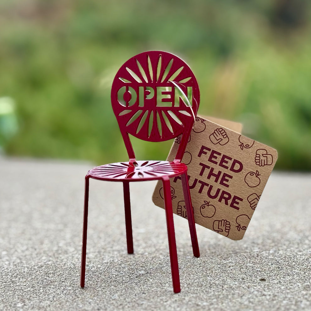 2025 Limited-Edition Mini Terrace Chair – Terrace Store